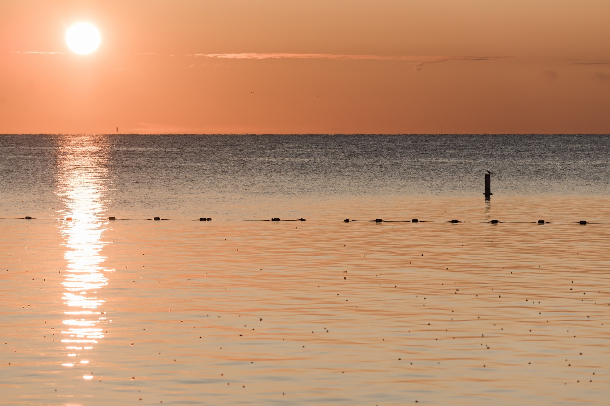 Visitor Information | Orillia & Lake Country Tourism